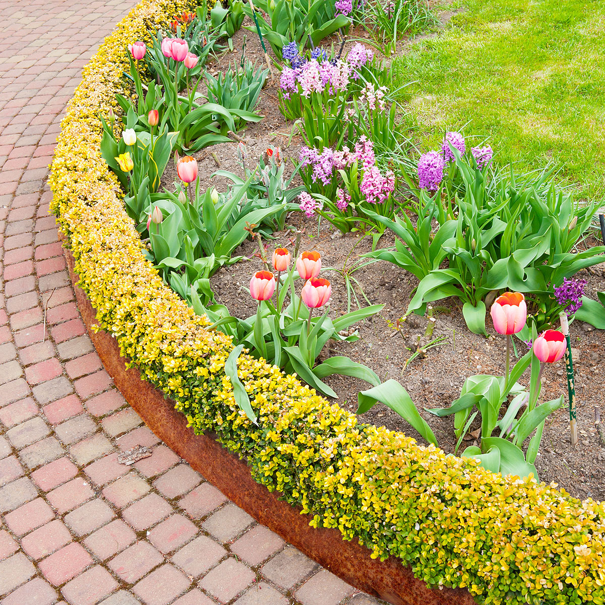 Aust only: Oxy-Shield Flexible Interlocking Edging Strip